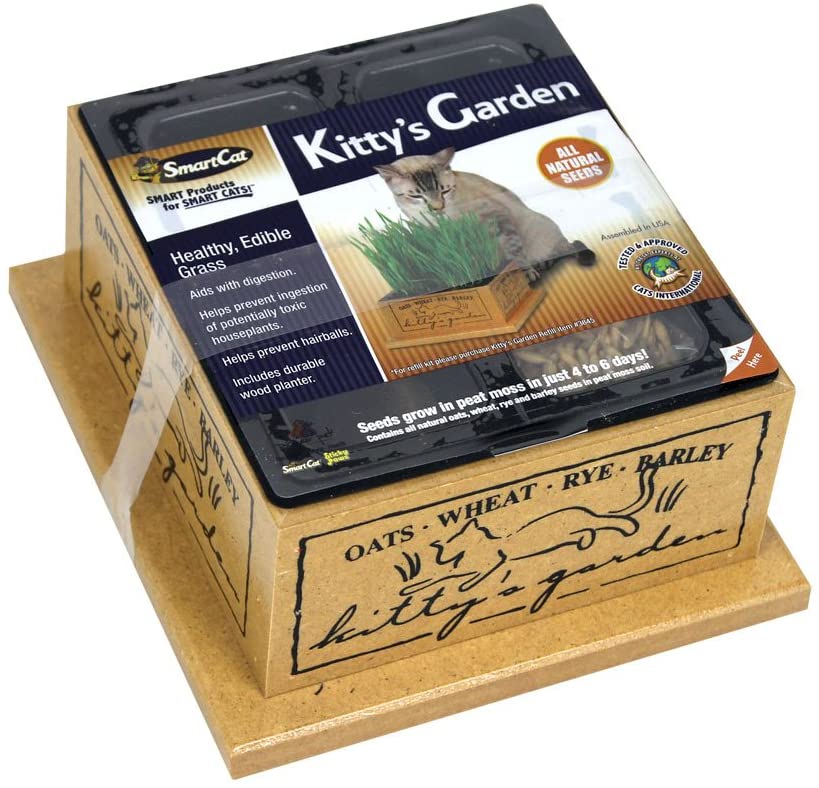 SmartCat Kitty's Garden & Refill Kit | Pet Oasis