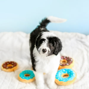 Zippy Paws Mini Chocolate Donutz Dog Toy | Pet Oasis